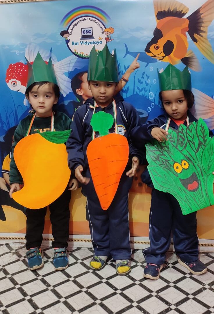 About Us – CSC Bal Vidyalaya